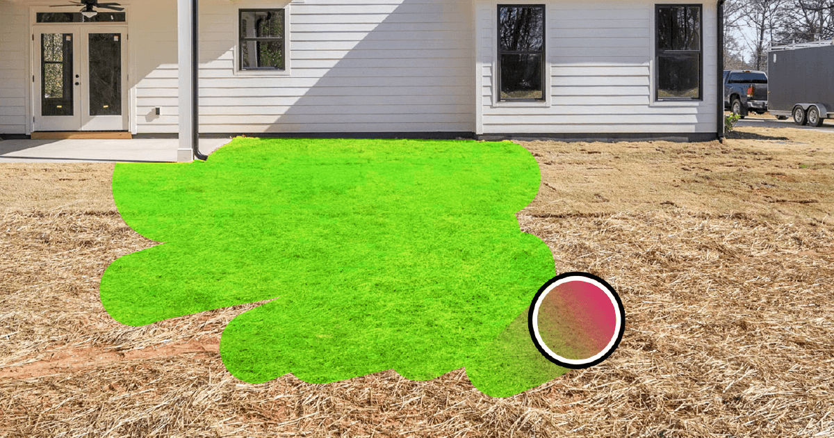 Lawn Replacement | Pixlmob